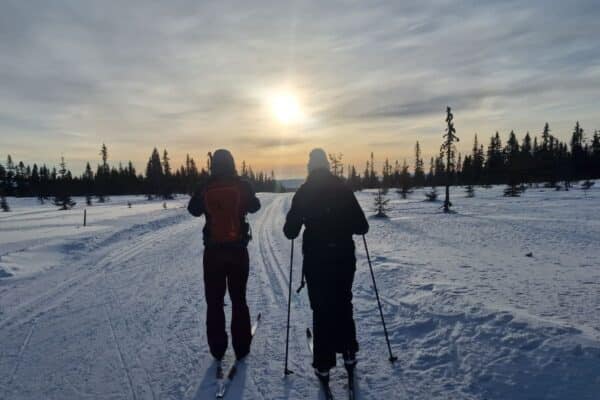 Alt om Langrend: Langrend for begyndere (GUIDE)